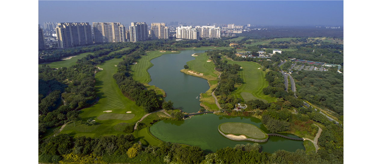 DLF India: News and Media Coverage